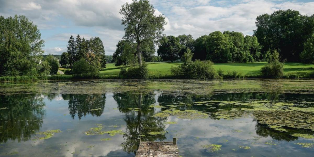 Le Condroz, entre tiges et chavées | Maison du Tourisme Terres-de-Meuse