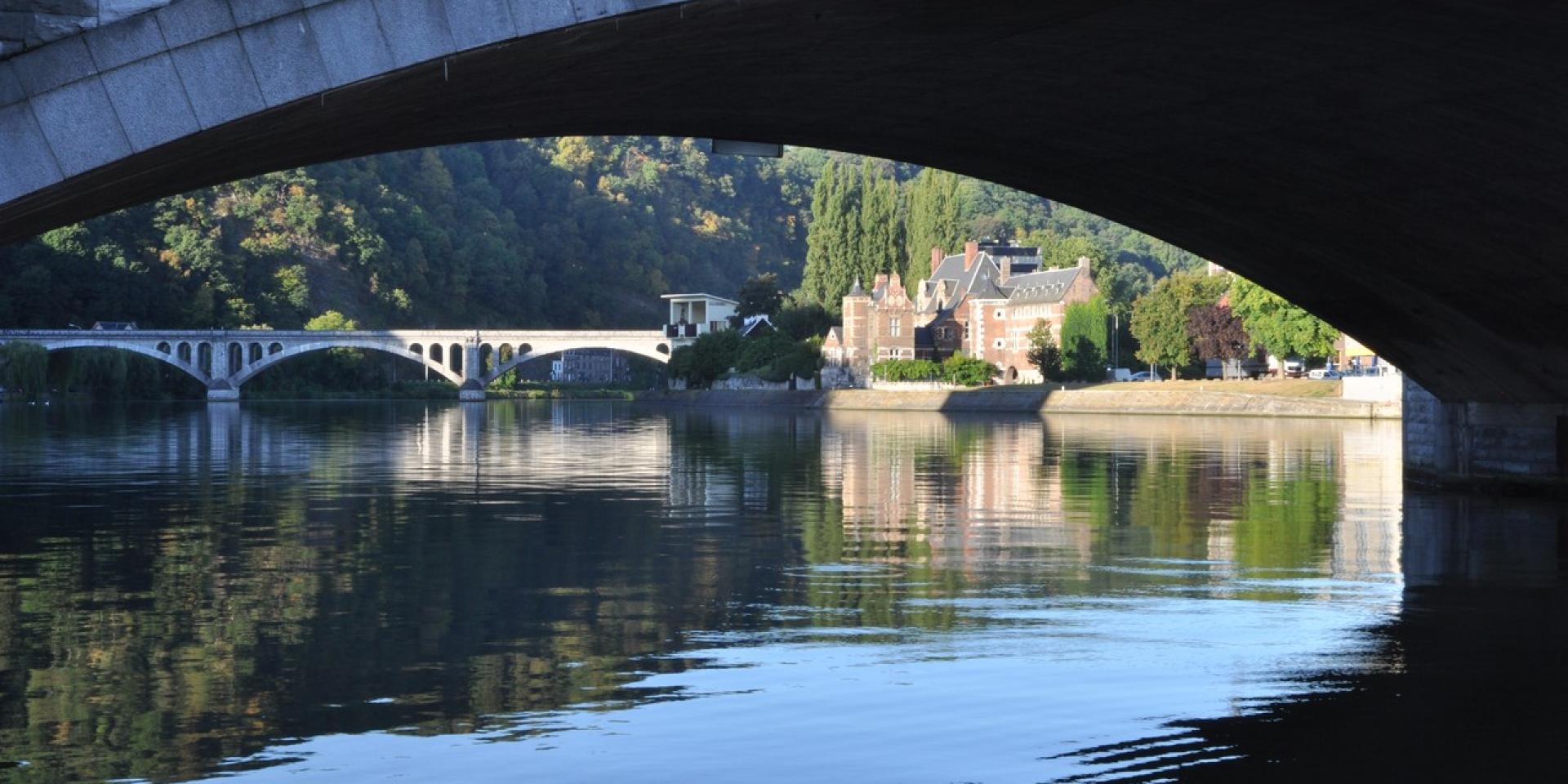 Meuse Valley, vineyards and feet in the water | Terres-de-Meuse Tourist ...