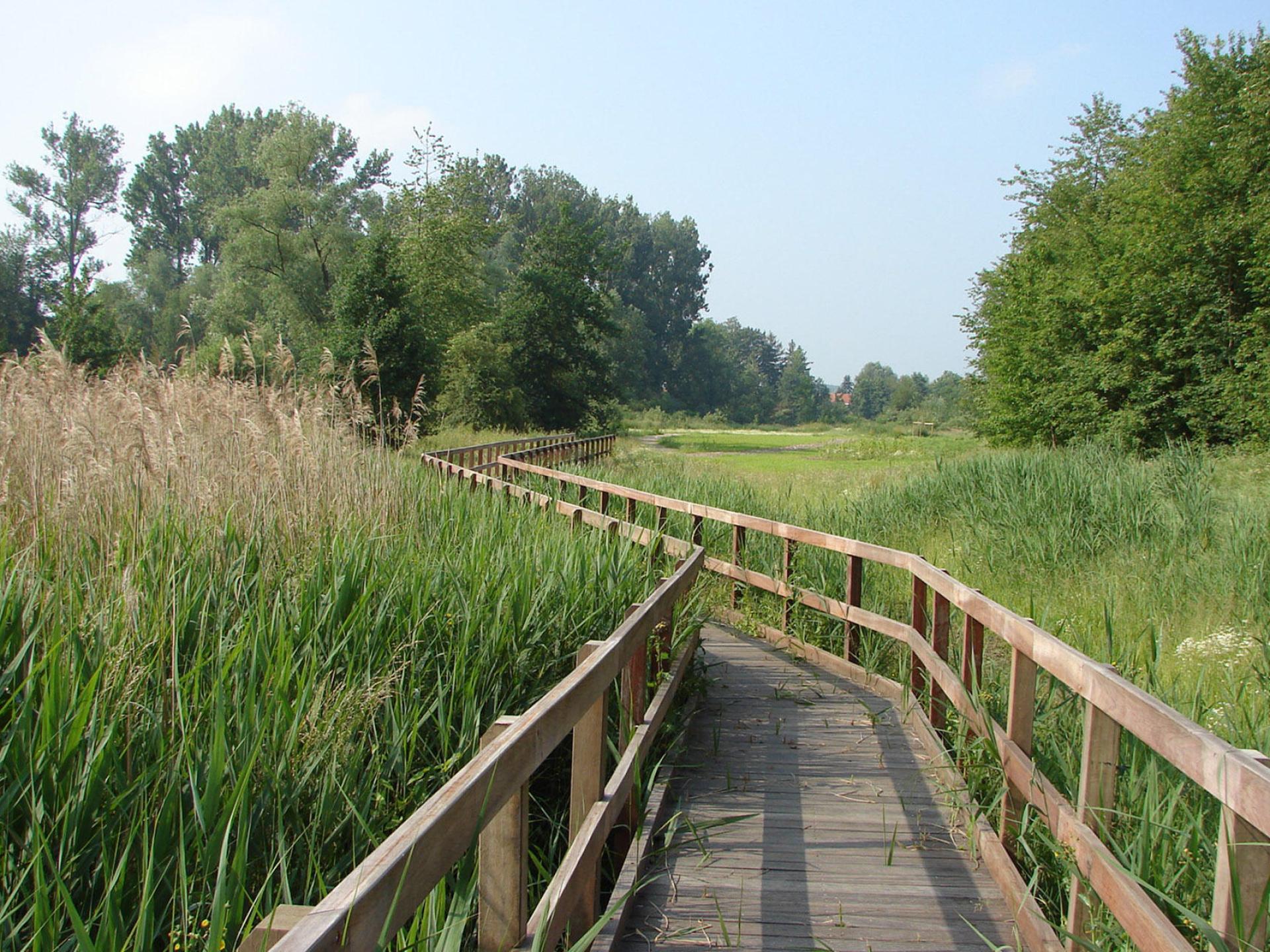 Waremme | Terres-de-Meuse Tourist Office
