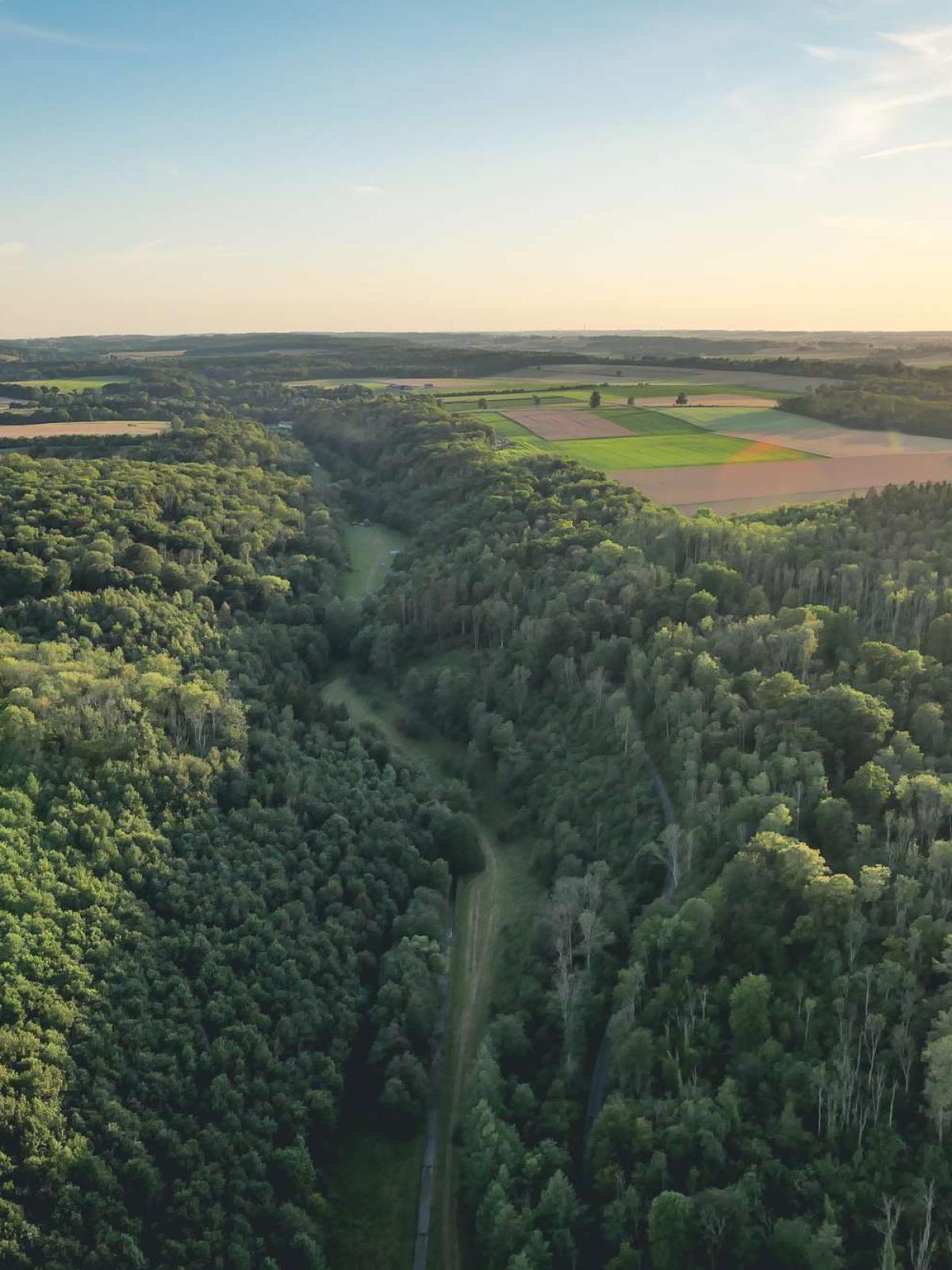 Maison du Tourisme Terres-de-Meuse