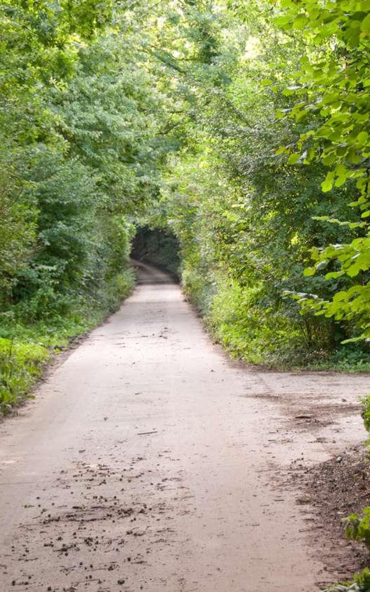 Berloz | Maison du Tourisme Terres-de-Meuse