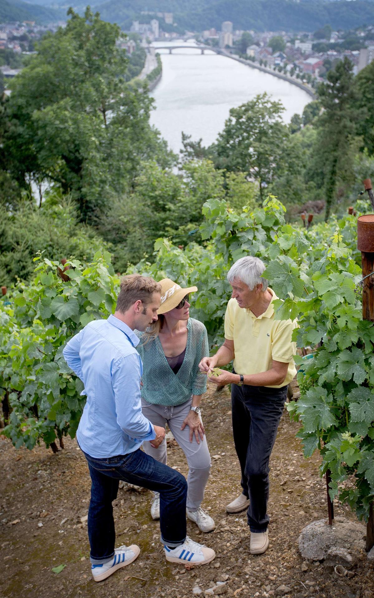 Meuse Valley, vineyards and feet in the water | Terres-de-Meuse Tourist ...