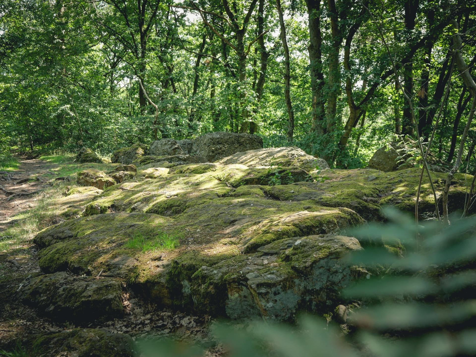 Découverte de la vallée de la Meuse | Maison du Tourisme Terres-de-Meuse