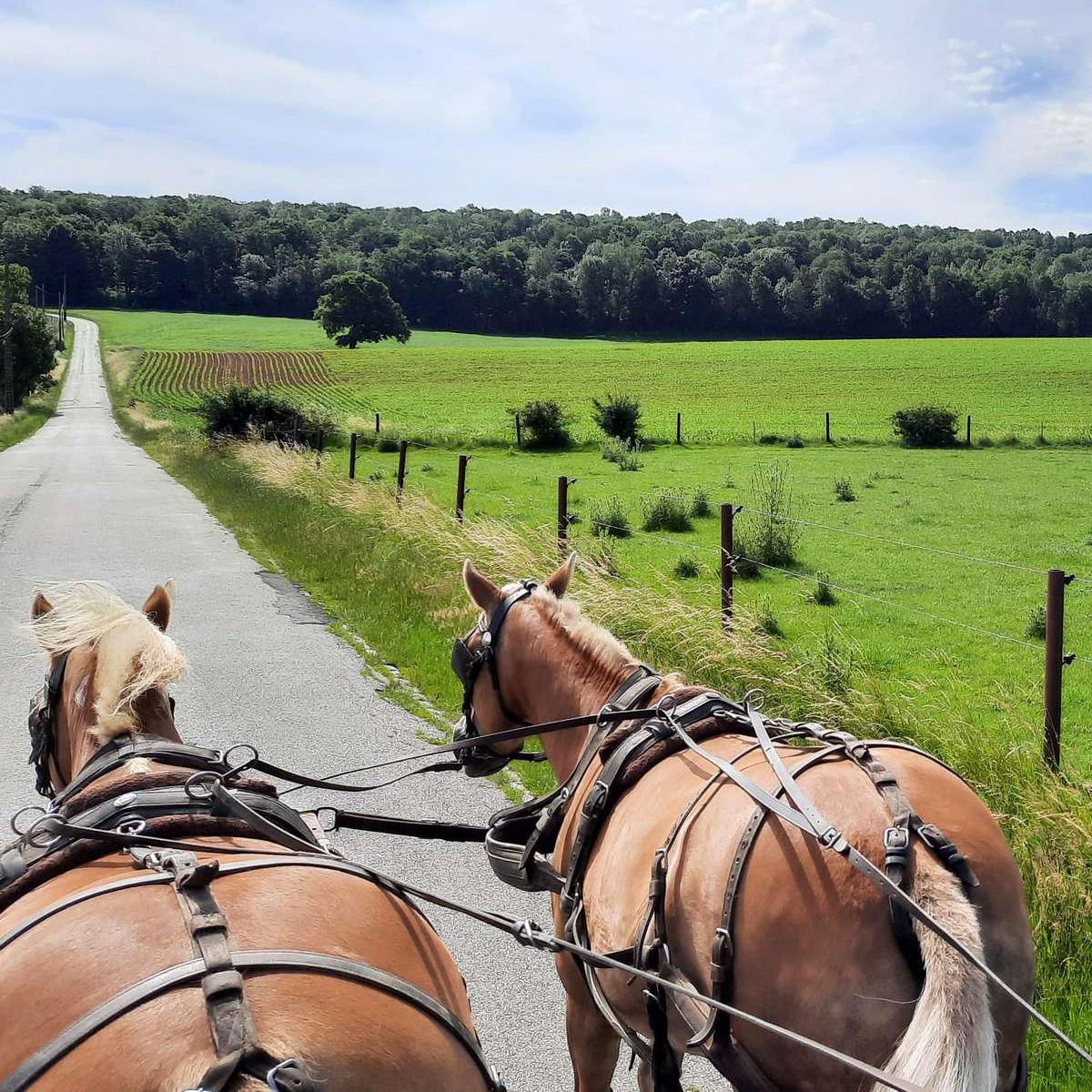 Le Condroz, entre tiges et chavées | Maison du Tourisme Terres-de-Meuse