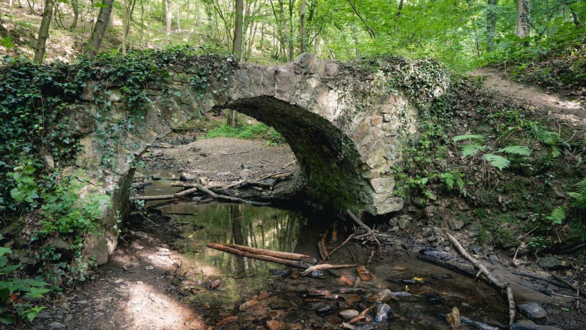 Découverte de la vallée de la Meuse | Maison du Tourisme Terres-de-Meuse